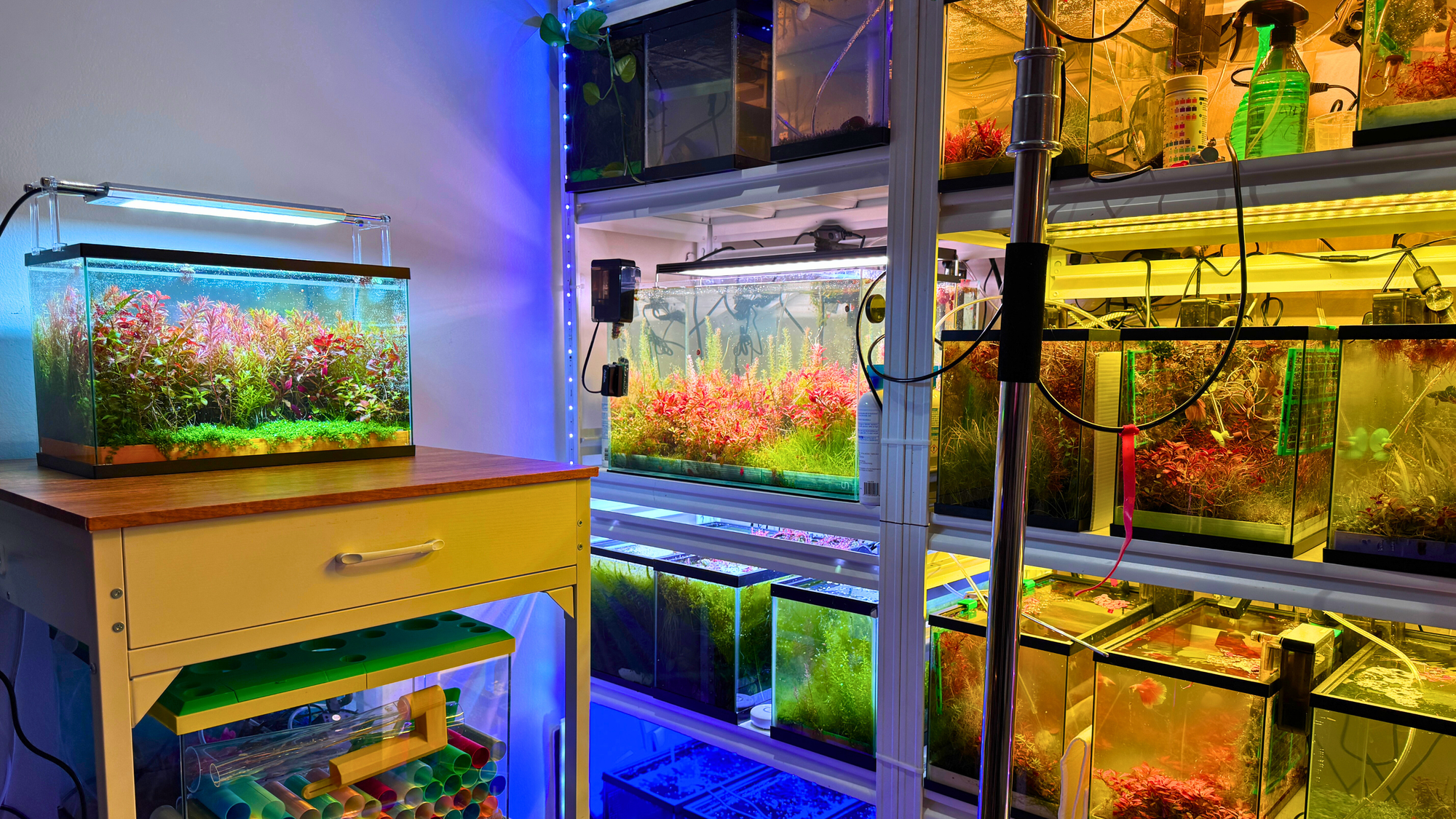 One Fish Tank | Modular Planted Floor™ Aquarium Systems