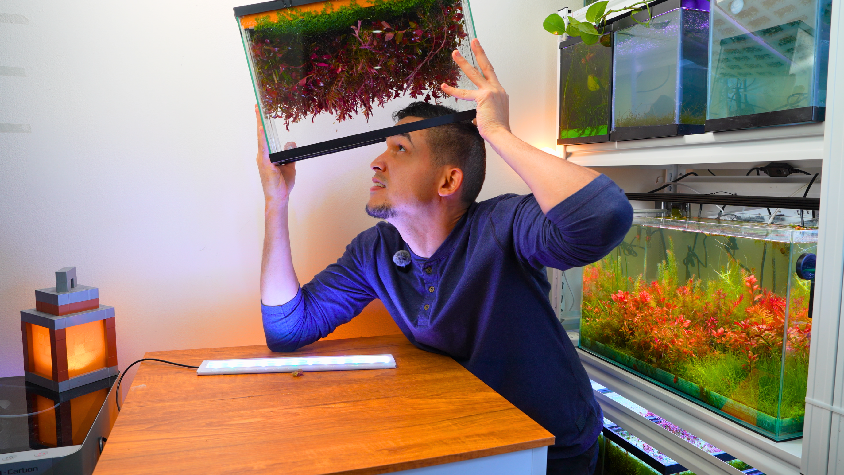 One Fish Tank | Modular Planted Floor™ Aquarium Systems